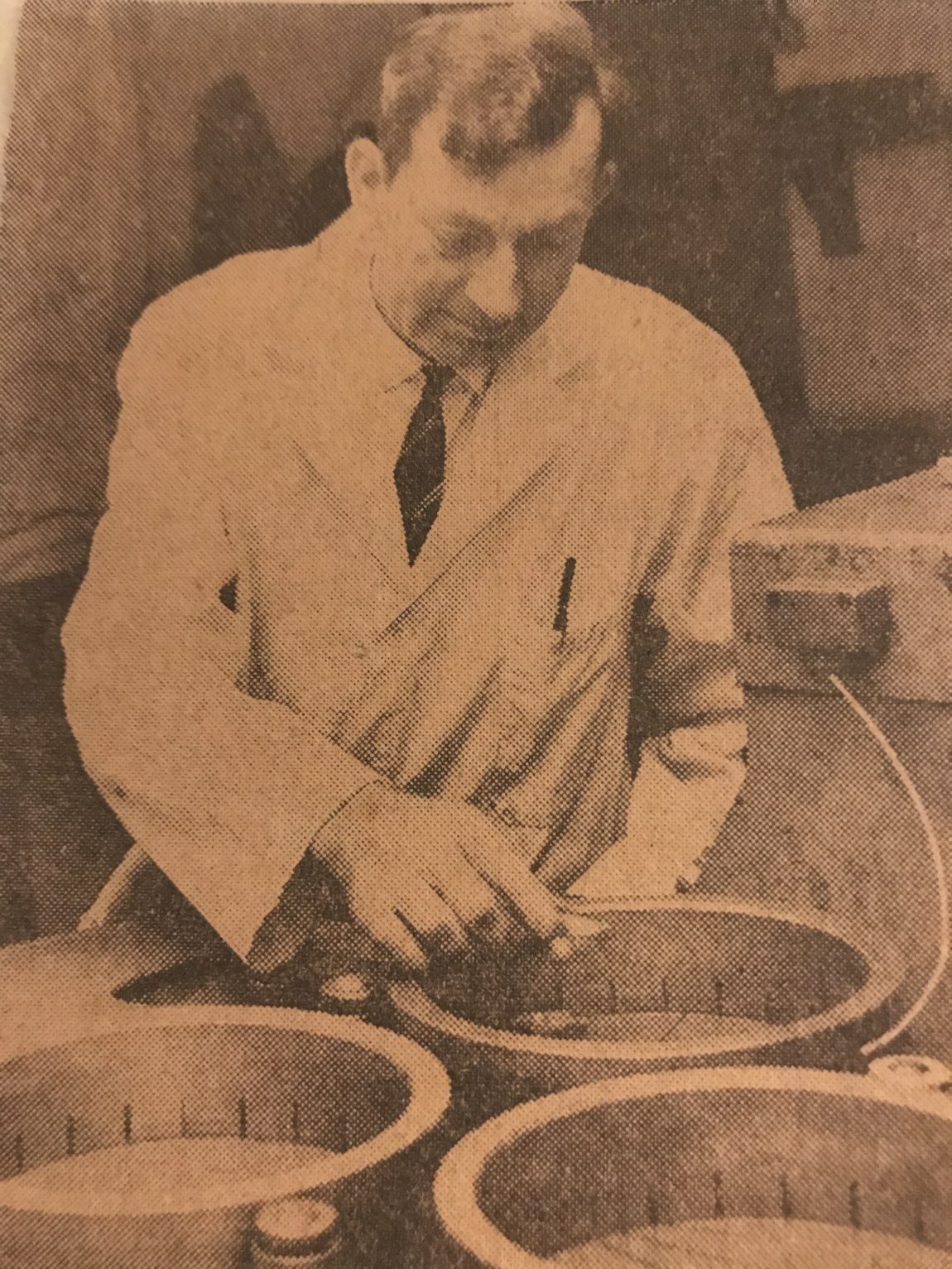 Looking Back 50 Years - NL Roper & Sons ltd